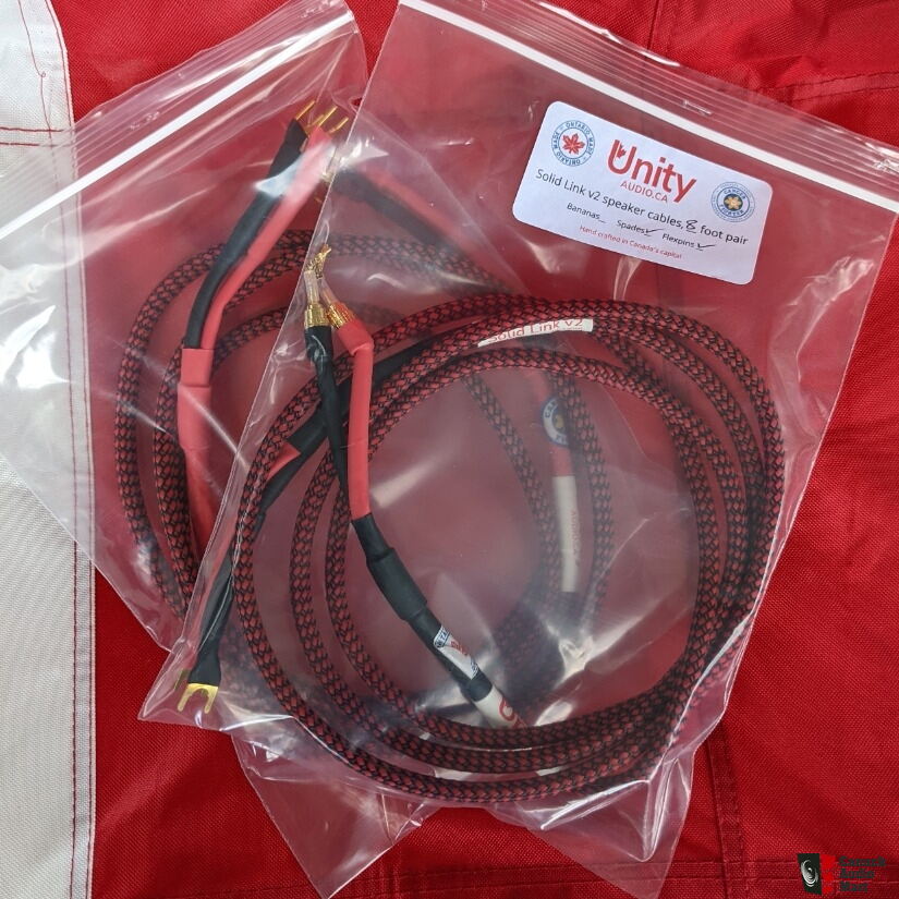 Unity Audio Solid Link v2 Speaker Cables, 8 foot pair Dealer Ad ...