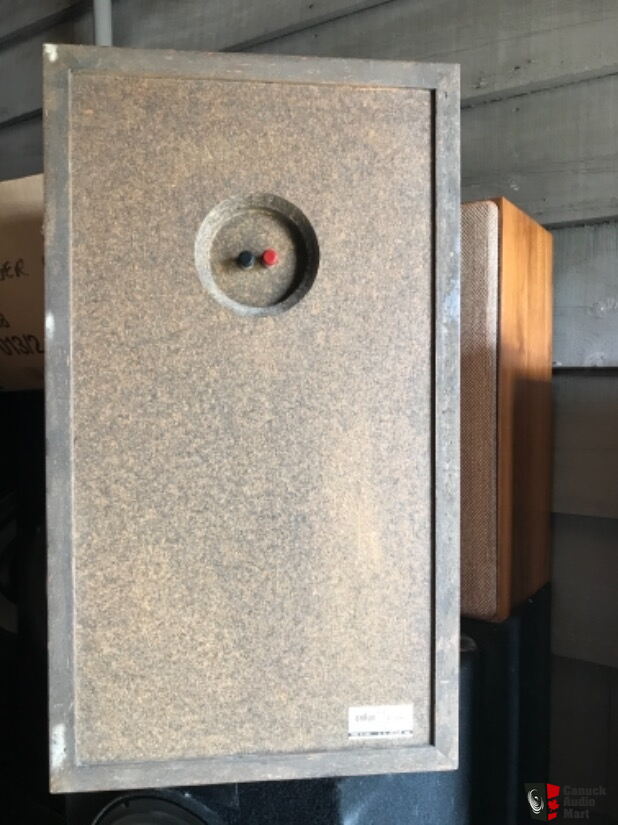 Braun L700a Photo #3944596 - Canuck Audio Mart