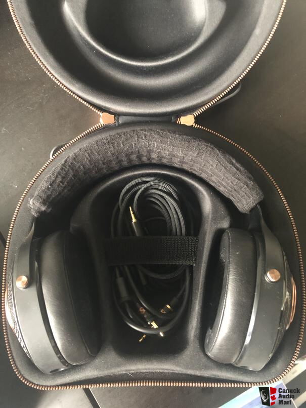 LNIB Focal Radiance + Hart Audio cable Photo #3959842 - US Audio Mart