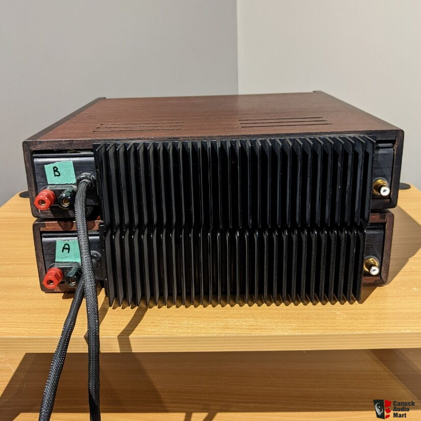 Meitner MTR100 mono block power amplifiers Photo #3960189 - UK Audio Mart