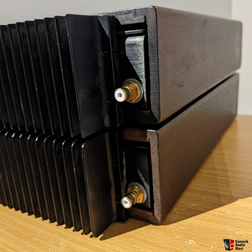 Meitner MTR100 mono block power amplifiers Photo #3960186 - UK Audio Mart