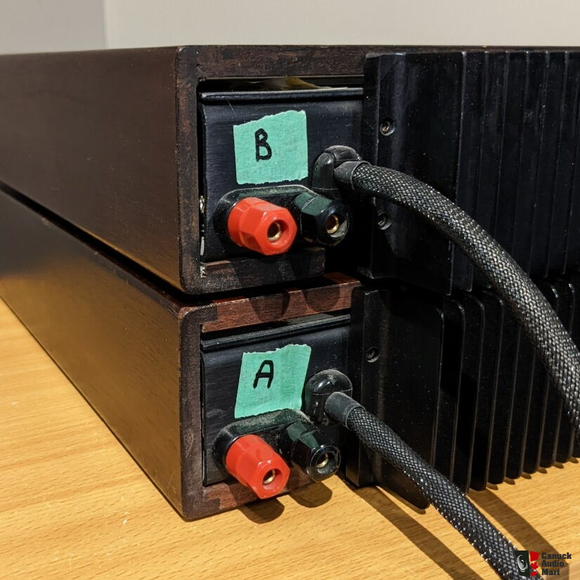 Meitner MTR100 mono block power amplifiers Photo #3960189 - UK Audio Mart
