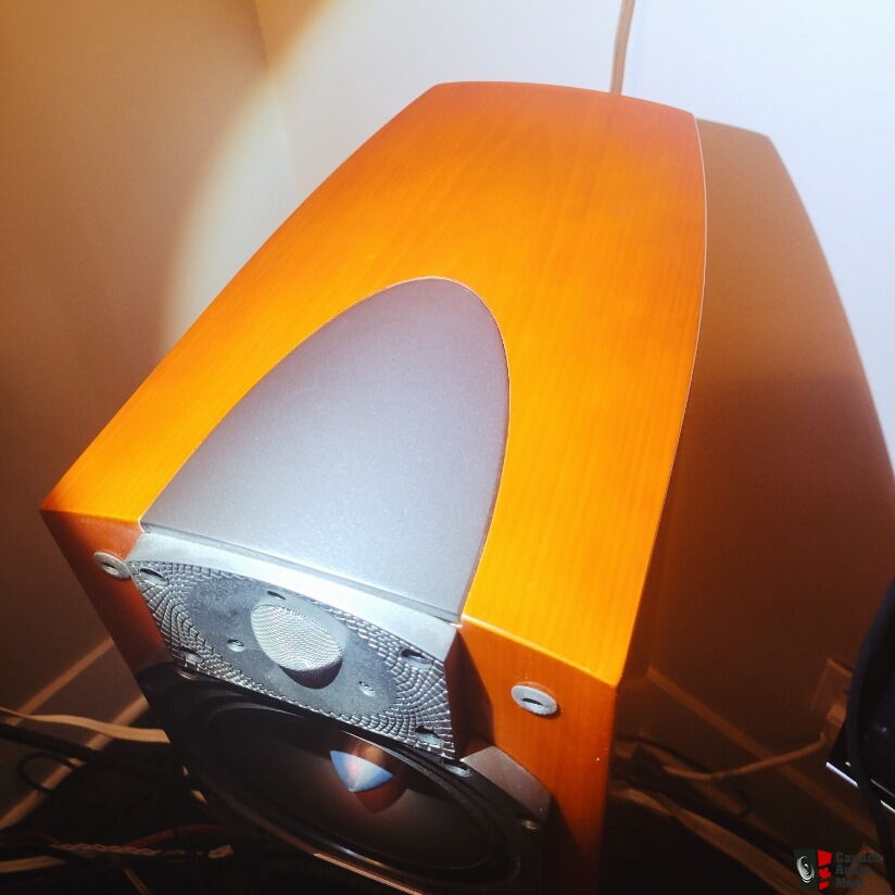 Paradigm Flagship Signature S6 v3 with Beryllium Tweeter ( Cherry ...