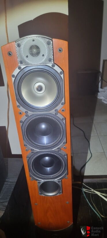 Paradigm Flagship Signature S6 v3 with Beryllium Tweeter ( Cherry ...