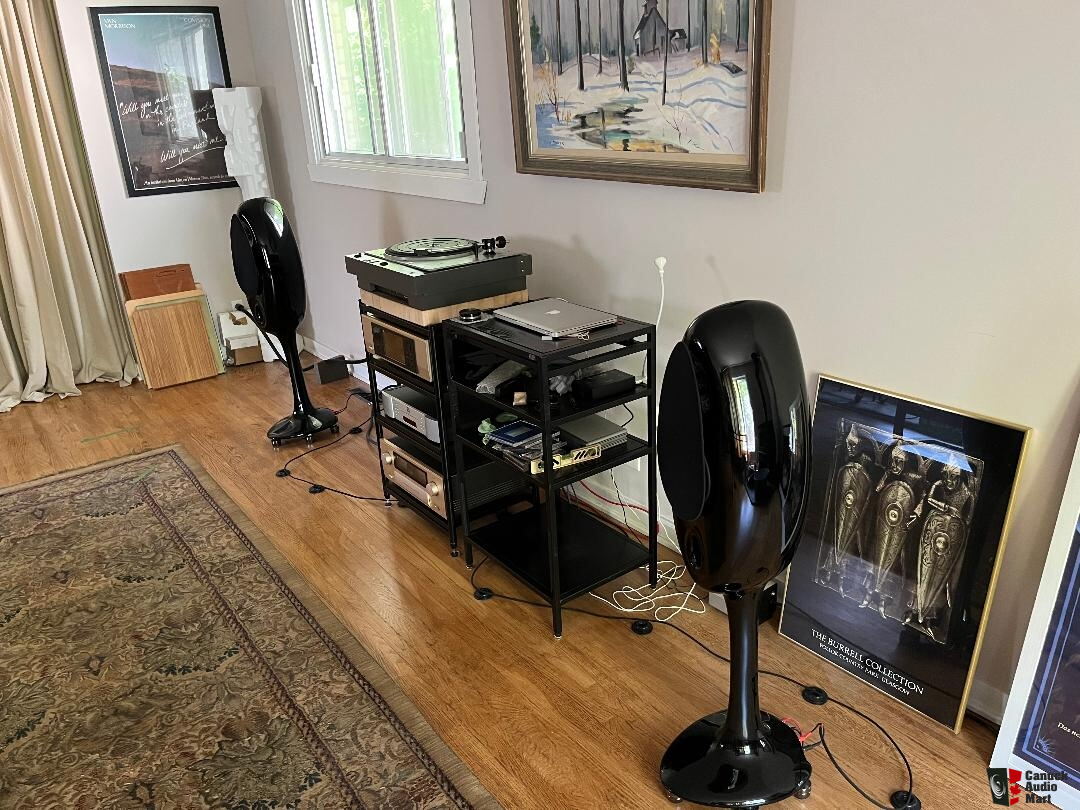Vivid Audio 1.5 with new tweeters For Sale - Canuck Audio Mart