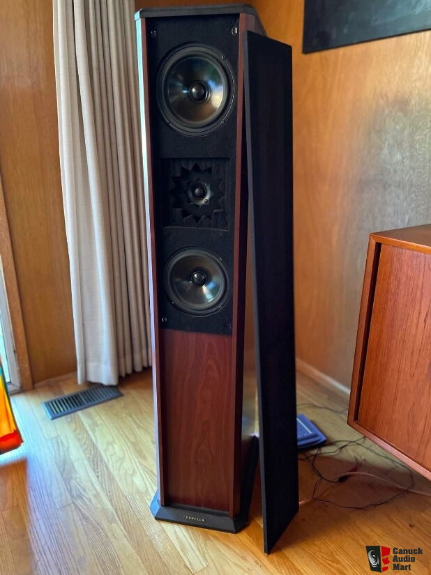 Duntech Ambassador C500 Brazilian Rosewood Floor Speakers For Sale - UK ...