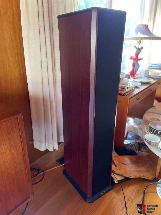 Duntech Ambassador C500 Brazilian Rosewood Floor Speakers Photo ...