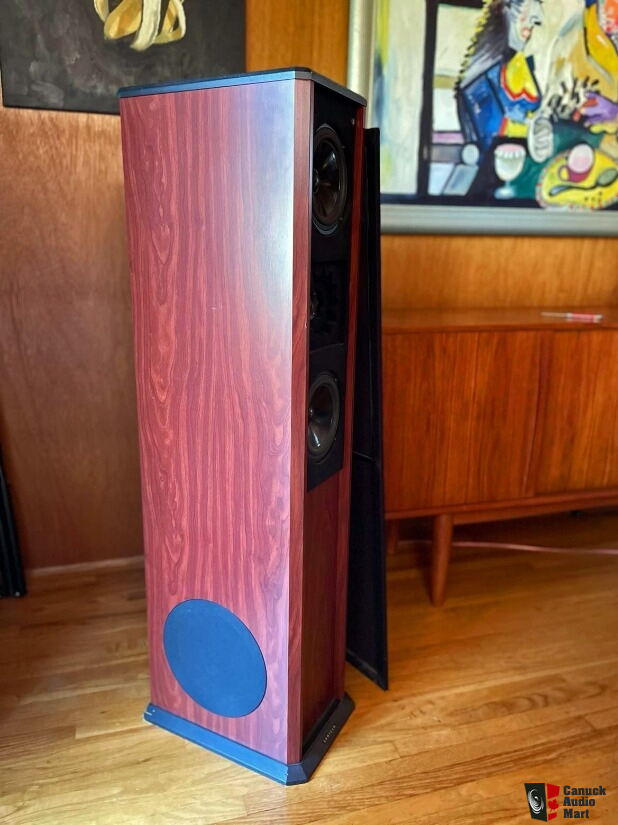 Duntech Ambassador C500 Brazilian Rosewood Floor Speakers Photo ...