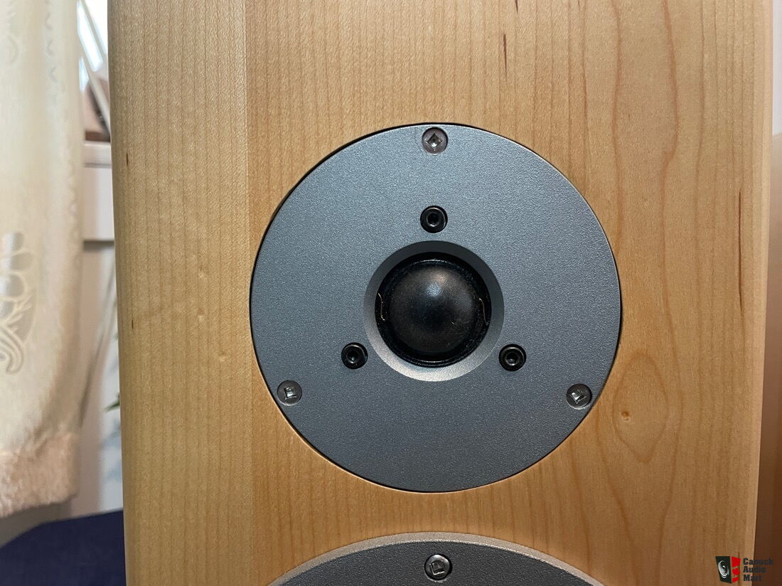 Modified Dynaudio 1.3SE - Custom Cabinets, Upgraded Crossovers Photo ...