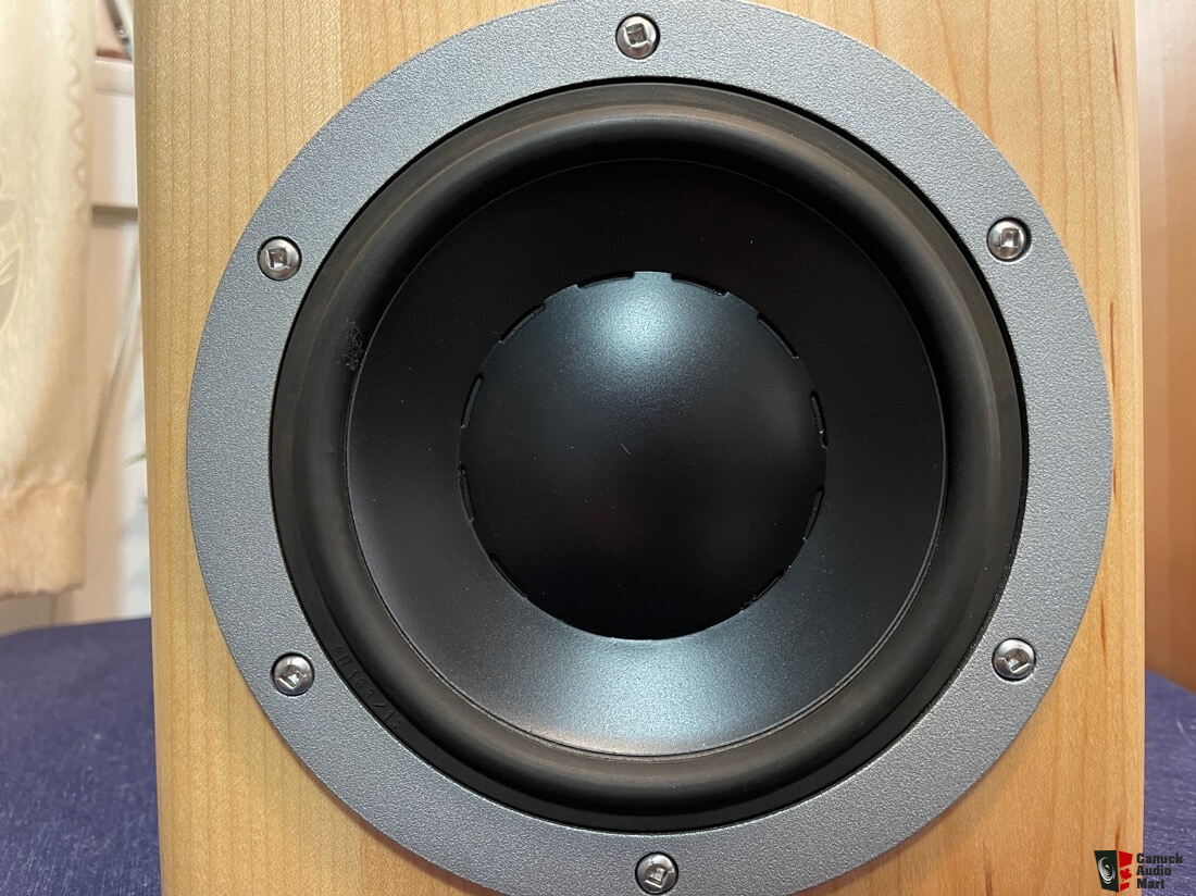 Modified Dynaudio 1.3SE - Custom Cabinets, Upgraded Crossovers Photo ...