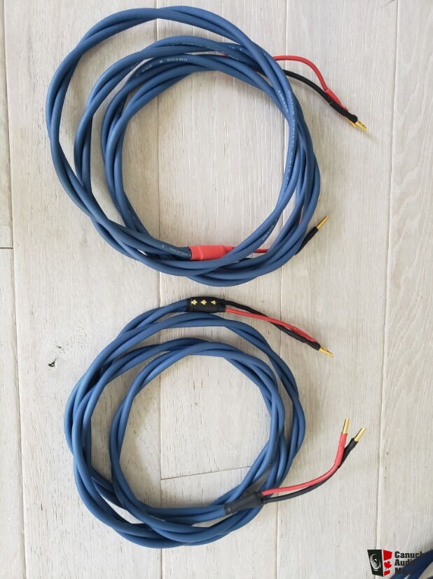 Neotech NEP-3002 MK III Power Cable - 5ft Photo #3976054 - US Audio Mart