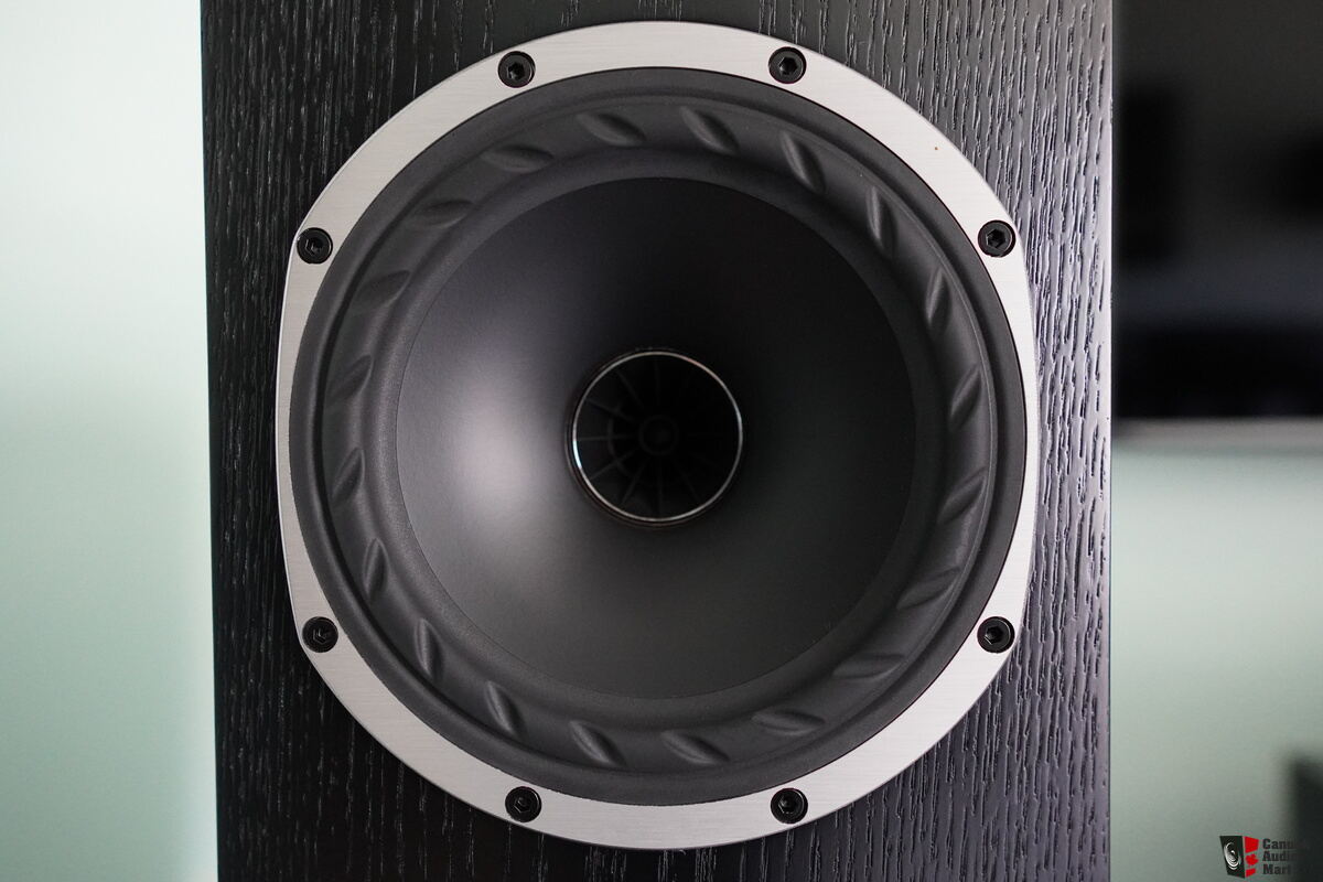 Fyne Audio F501 Photo #3985354 - Canuck Audio Mart