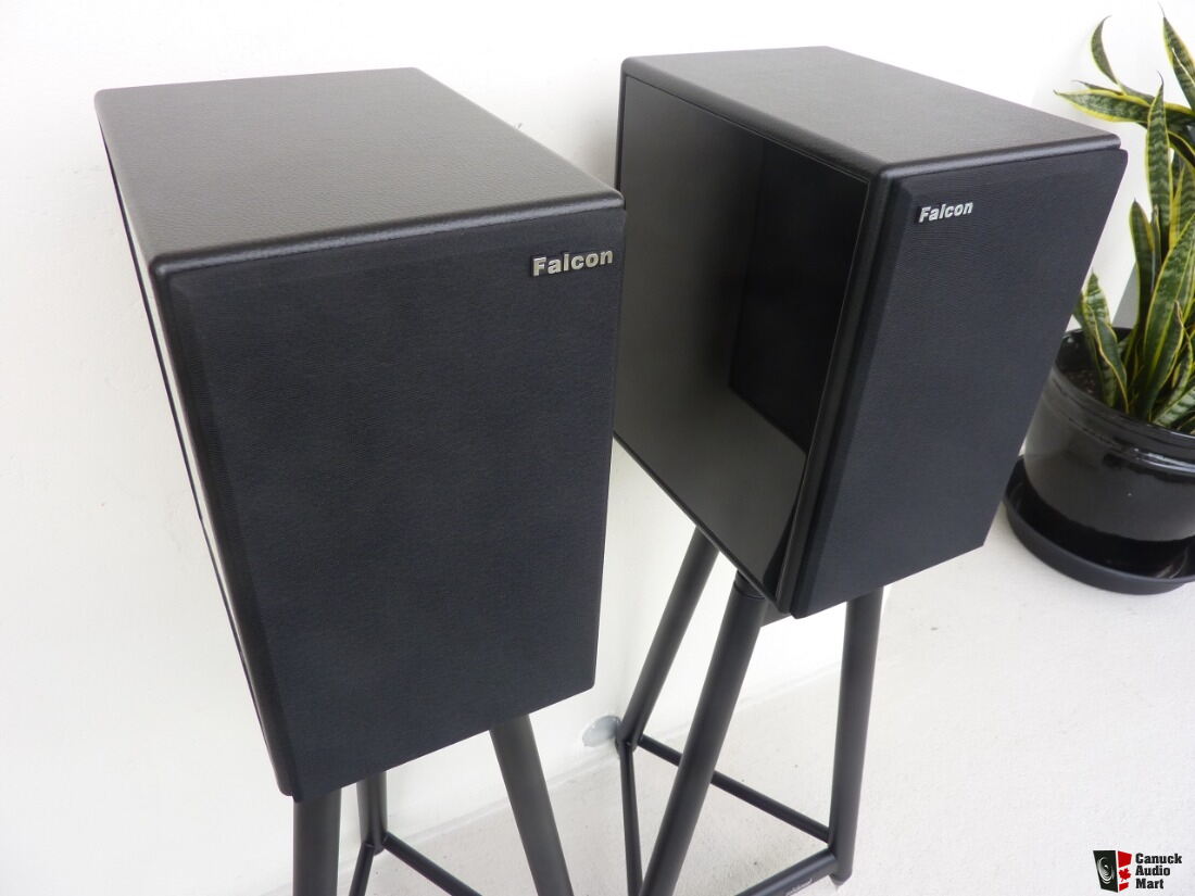 Falcon Acoustics R.A.M. Studio 10 (Demo Deal) (Including FREE Shipping ...