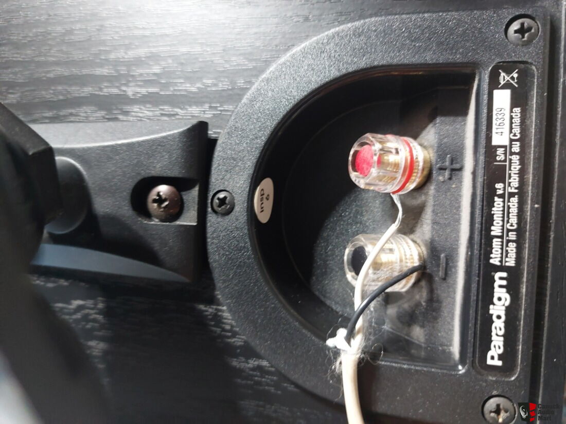 Paradigm atom monitor v6 Photo #3992920 - UK Audio Mart