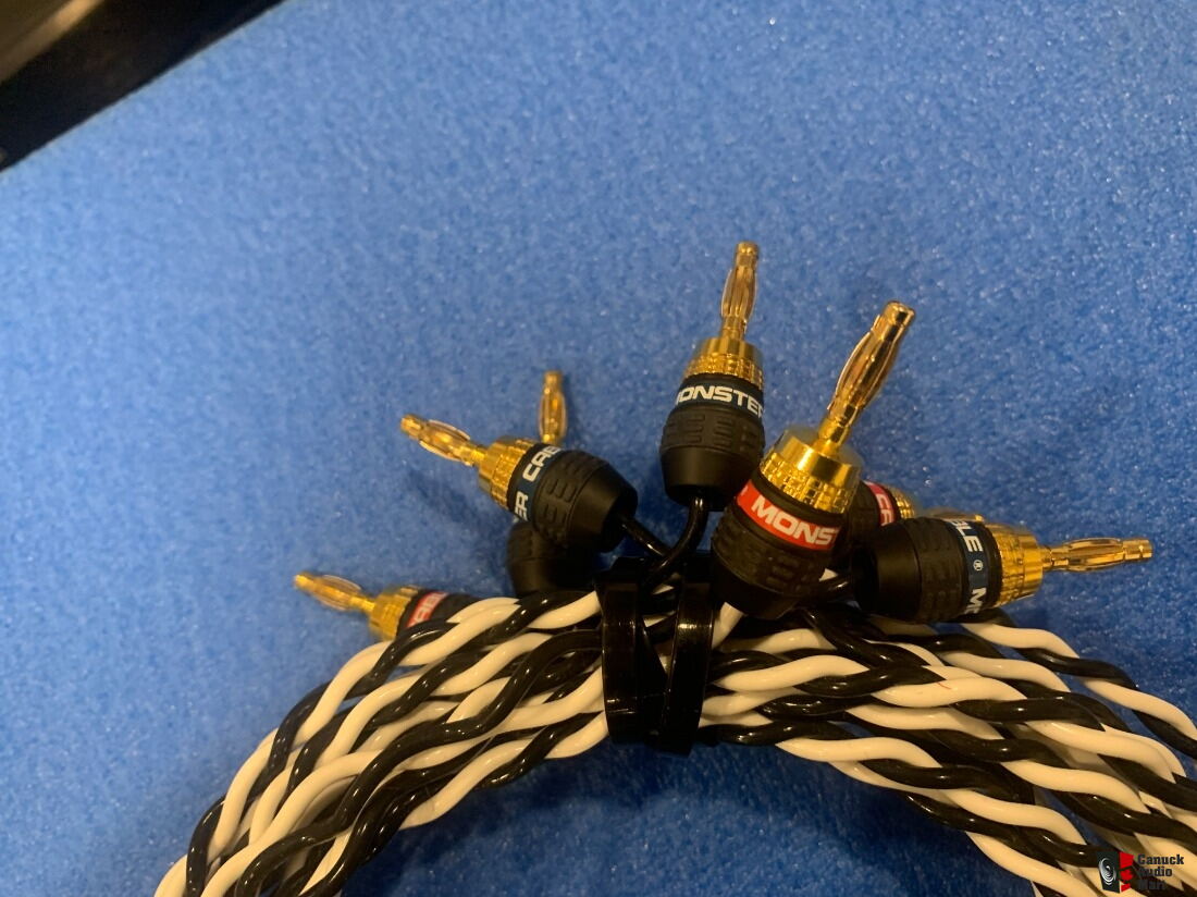 Totem Tress Speaker Cables /Wires,8 Monster Terminals,10 and half Feet ...