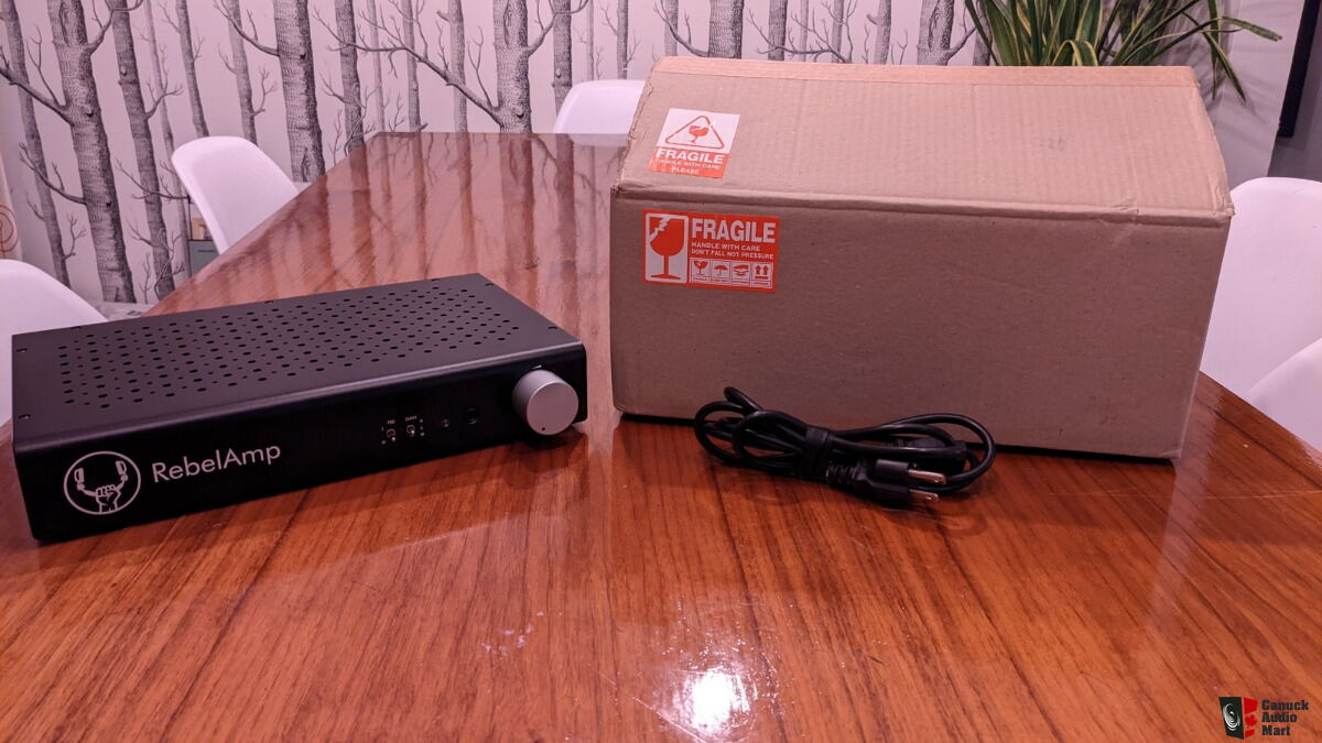 Rebel Amp, Black For Sale - Canuck Audio Mart
