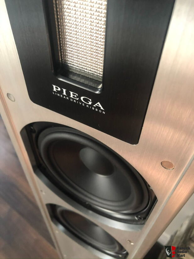Piega Premium 701 floor standing speakers Photo #4005086 - US Audio Mart
