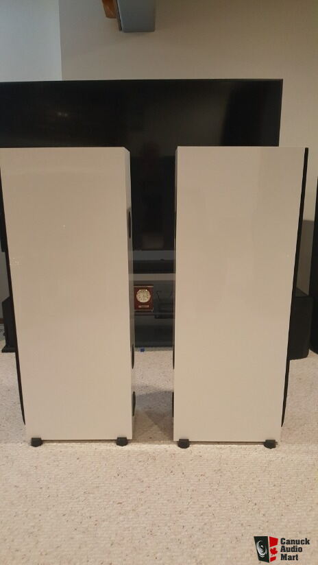 Paradigm Monitor Se 8000F Photo #4013709 - US Audio Mart