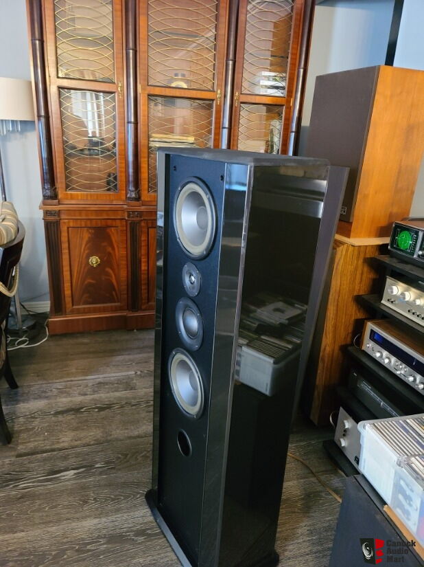 Angstrom Radix 606 Tower Speakers Photo #4016901 - Canuck Audio Mart
