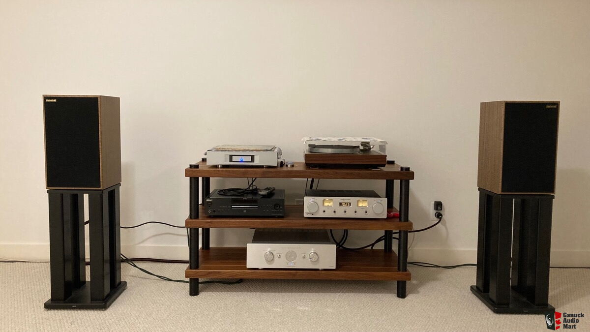 Linn Sondek LP12 with $27,000 in upgrades Photo #4018806 - UK Audio Mart
