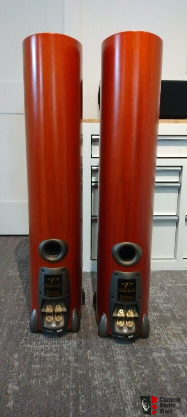 Paradigm Studio 60 v.5 Tower and CC-490 v.5 Center Photo #4021910 ...