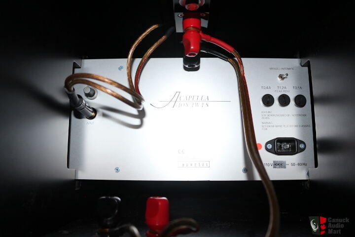 Acapella Violon mk4 Photo #4023540 - Canuck Audio Mart