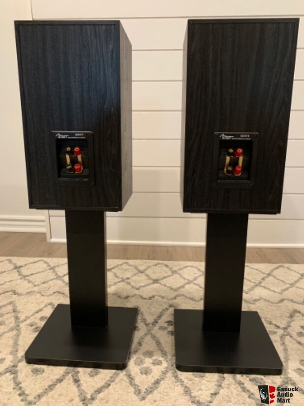 Mirage M-290 Speakers Photo #4025362 - Canuck Audio Mart