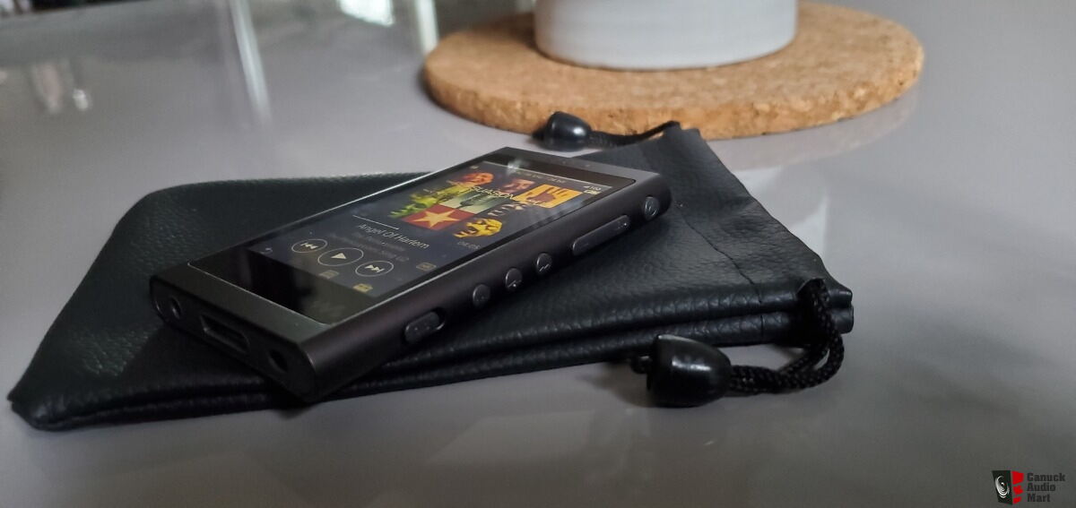 Sony NW-A55 Walkman A Series, Grayish Black Photo #4026352 - UK Audio Mart