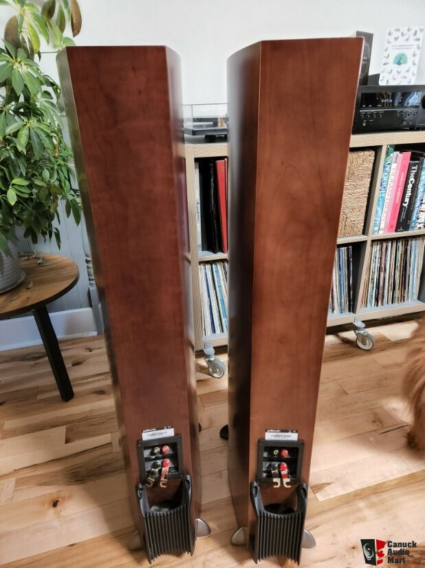 Polk Rti 7 Floorstanding speakers Photo #4029022 - Canuck Audio Mart