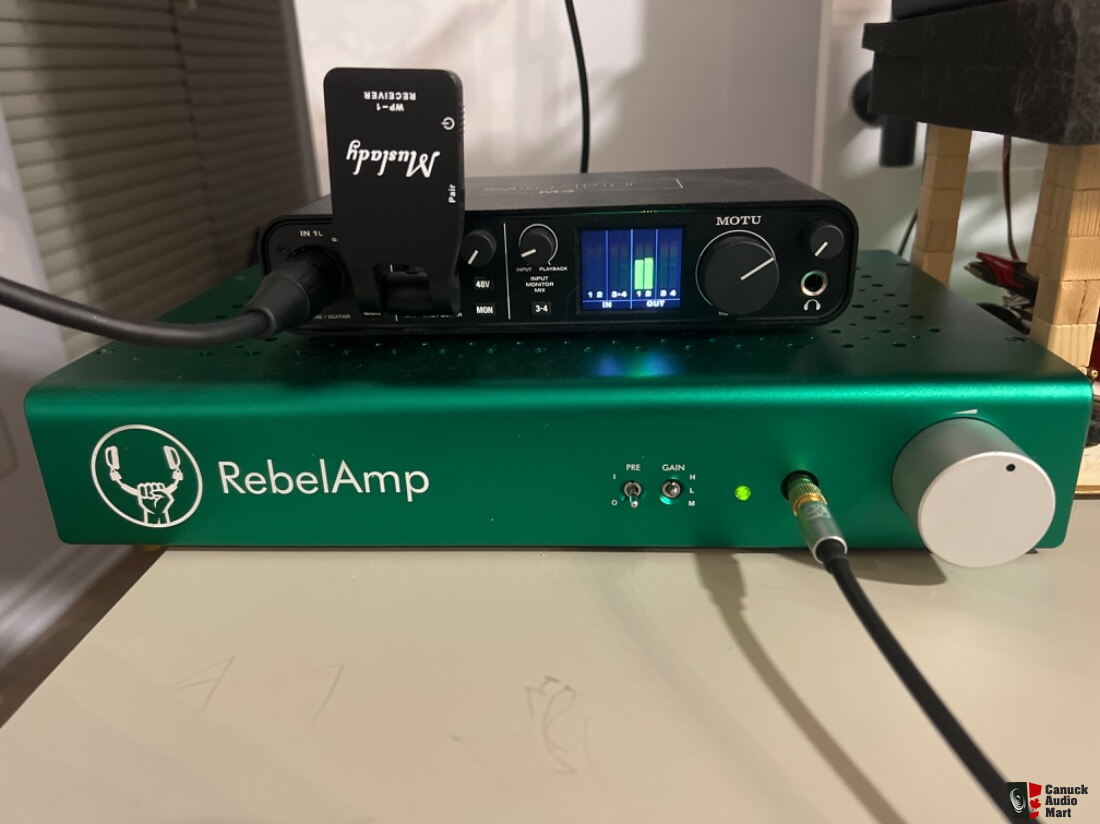 Rebel Amp For Sale Or Trade - Canuck Audio Mart