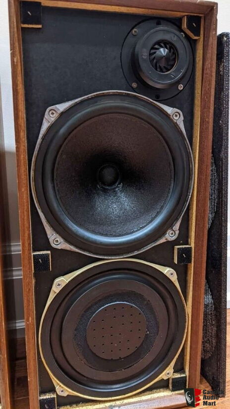 Celestion Ditton 15 Vintage Loudspeaker Photo #4032552 - UK Audio Mart