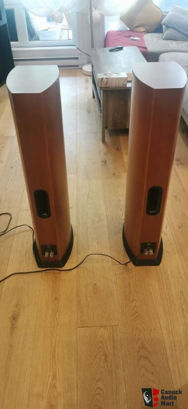 Peachtree floorstanding speakers ERA Design 14 - 3 ways in Cherry Wood ...