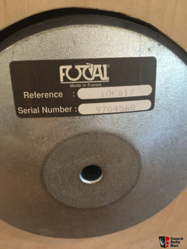 Ripole sub with 10 inch focal driver Photo #4046875 - Canuck Audio Mart
