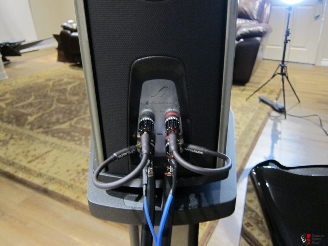 AudioSolutions Virtuoso B speakers with matching stands (retail $20500 ...