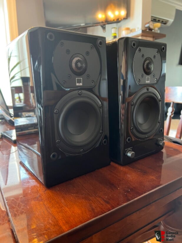 SVS Prime Wireless Speaker For Sale - US Audio Mart