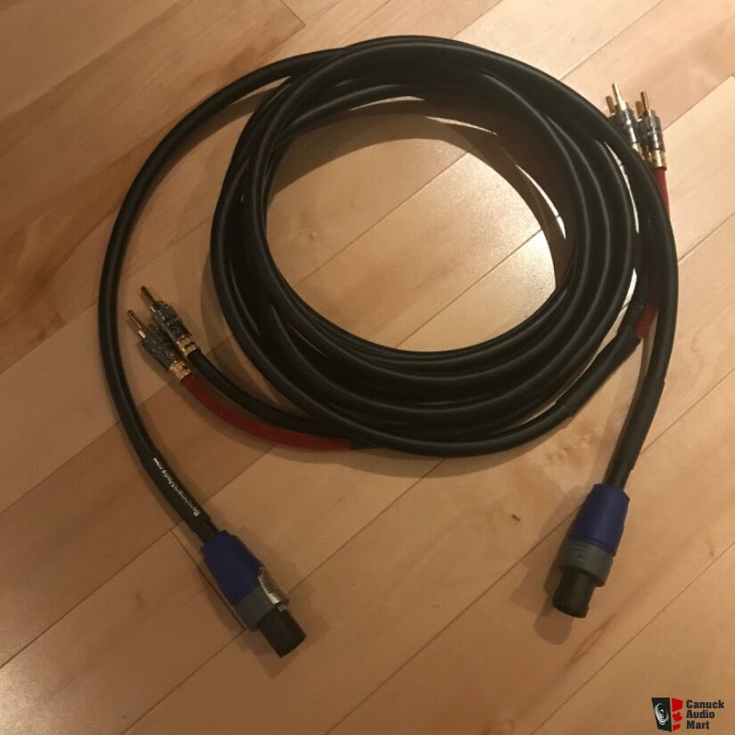 10 feet (2 m) Benchmark speaker cable Speak-0n NL2 to Banana - 2 Pole ...
