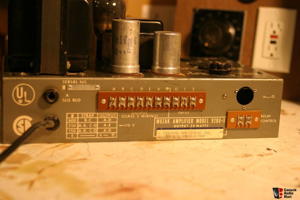 Muzak 920D-X Tube Monoblock Amplifier Photo #407517 - Canuck Audio Mart