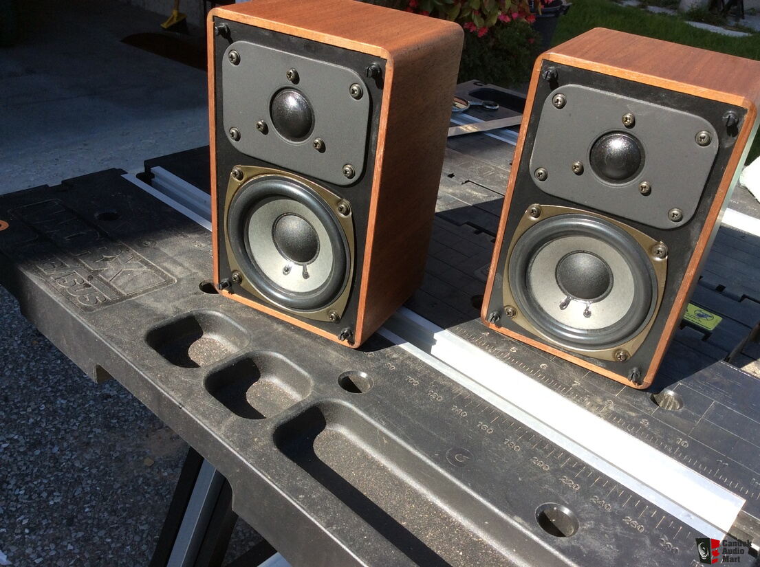 Realistic MINIMUS 7W Loudspeakers Walnut wood veneer For Sale - Canuck ...