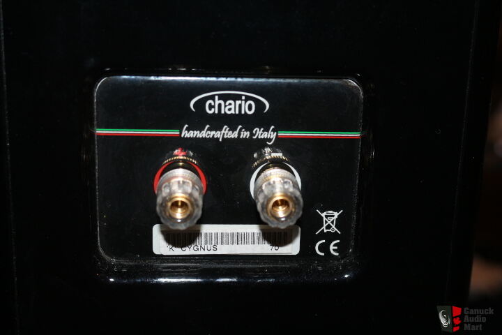 Chario Academy Constellation K Pegasus Photo #4083185 - Canuck Audio Mart