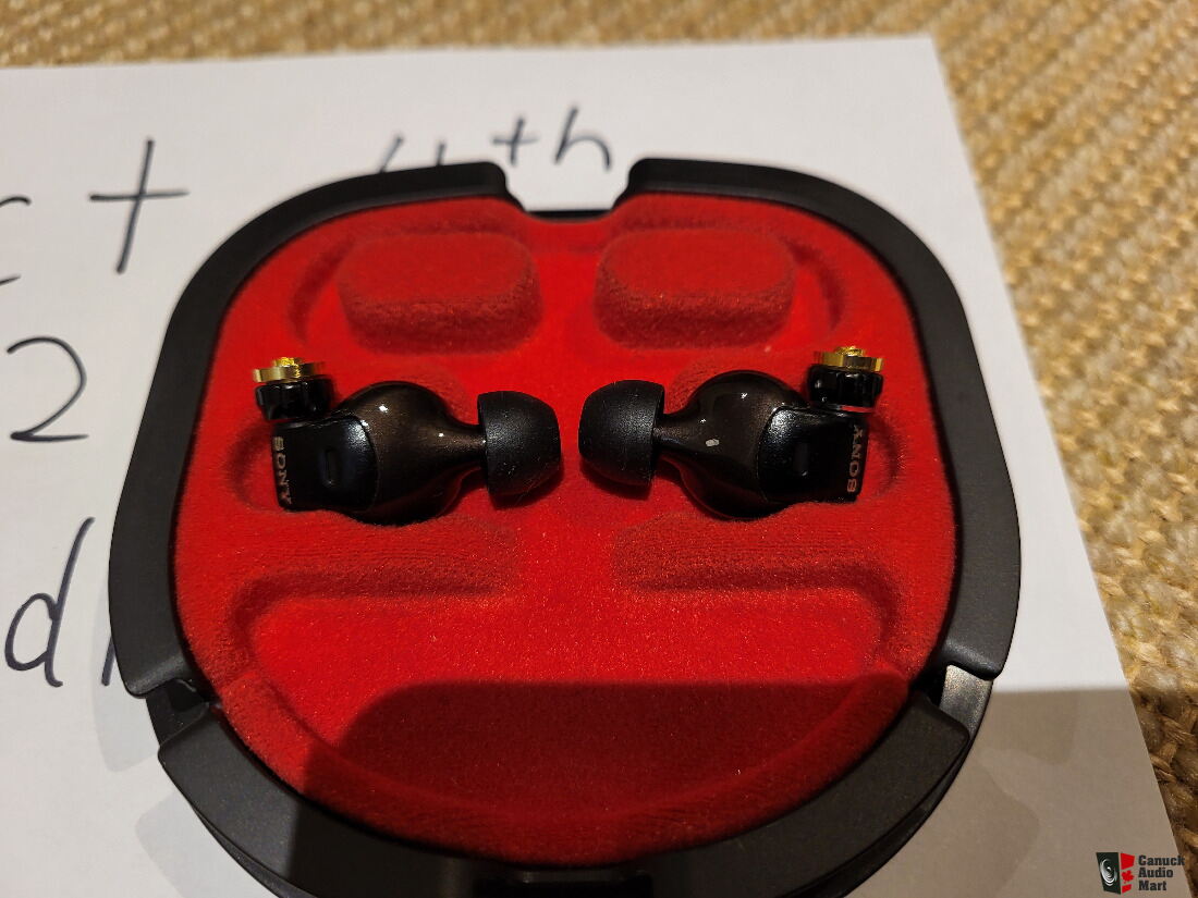 Sony MDR-EX1000: Legendary 16 mm Dynamic Driver IEM for amazing bass ...