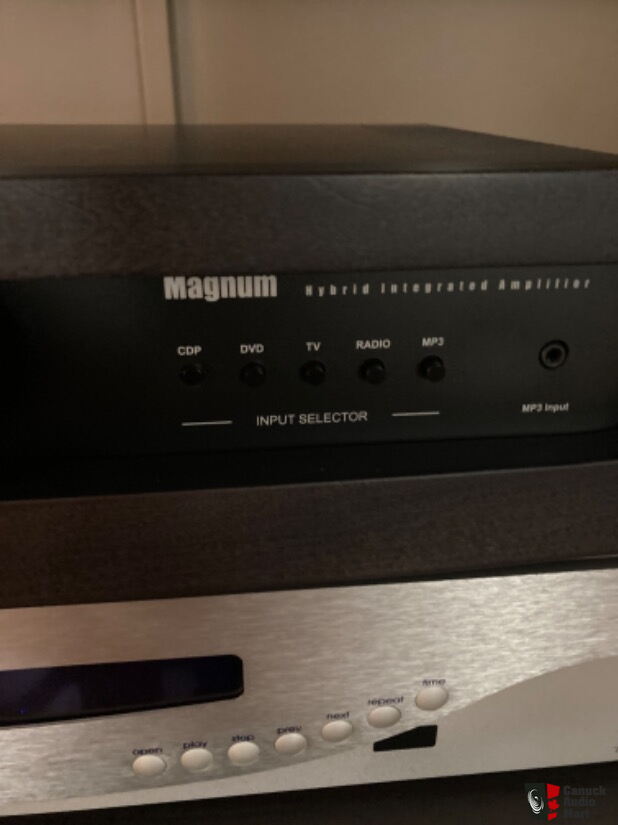 Synthesis Magnum 100 /// Excellent Italian Hybrid Photo #4087924 ...