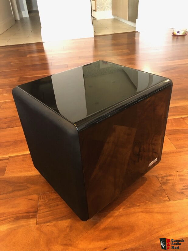 Tannoy TS10.2 Subwoofer Photo #4088463 - UK Audio Mart