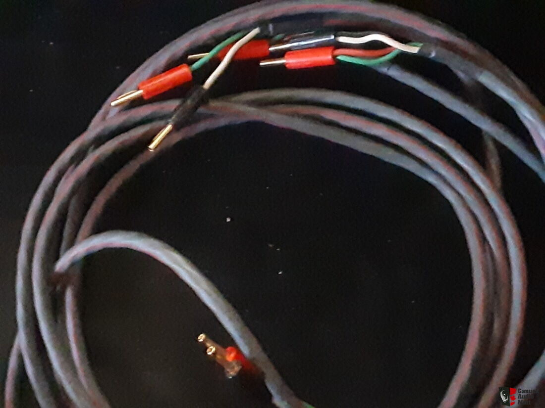 Speaker Wires Photo 4090964 Canuck Audio Mart