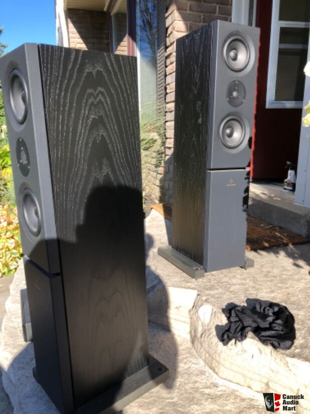 Linn Kaber speaker with tune box and mono cards Photo #4095964 - Canuck ...