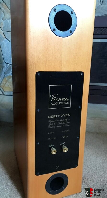 3-Way Speakers Vienna Acoustics Photo #4100265 - UK Audio Mart