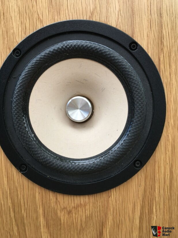 single driver bookshelf speakers Photo #4112094 - Canuck Audio Mart