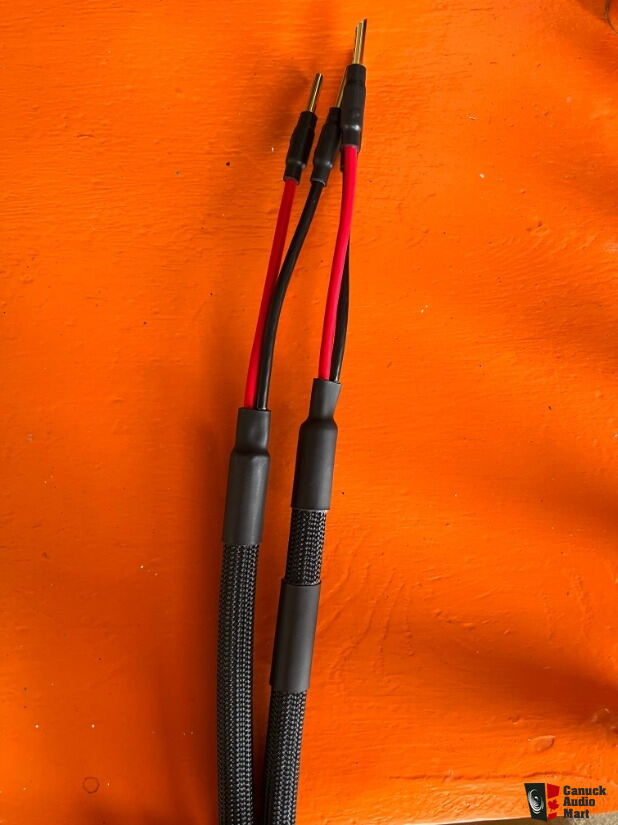 PENDING Mogami 3103 pair of 8 feet cables Photo #4126610 - Canuck Audio ...