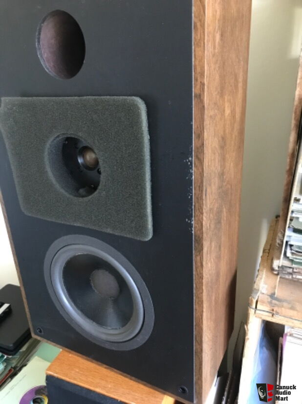 Rare Paisley Research Model 20 Canadian designed/built speakers Photo ...