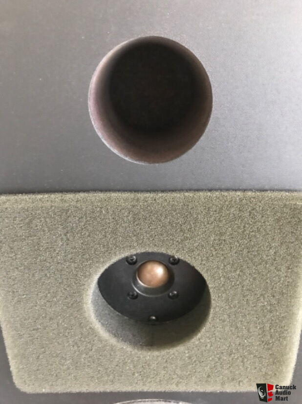 Rare Paisley Research Model 20 Canadian designed/built speakers Photo ...