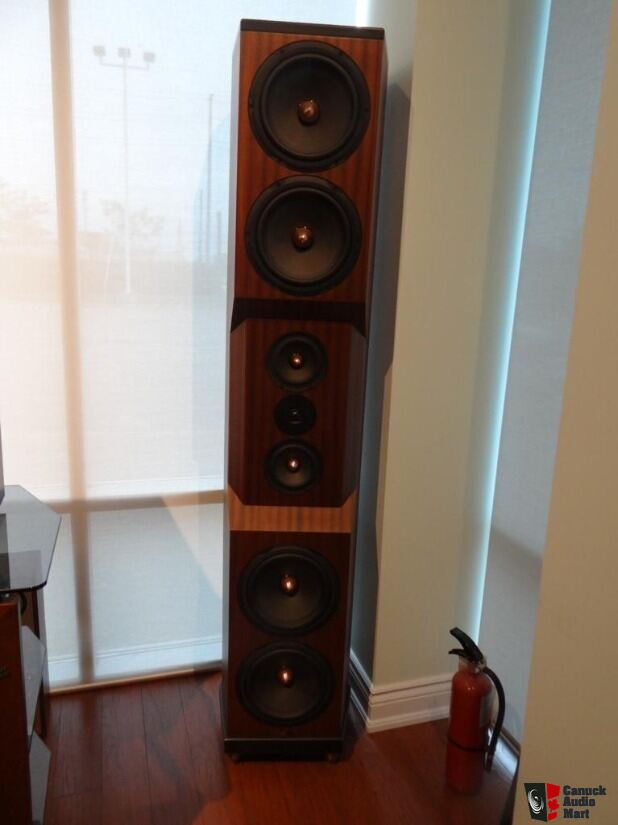 Tyler Acoustics D 10 Photo #4135175 - US Audio Mart